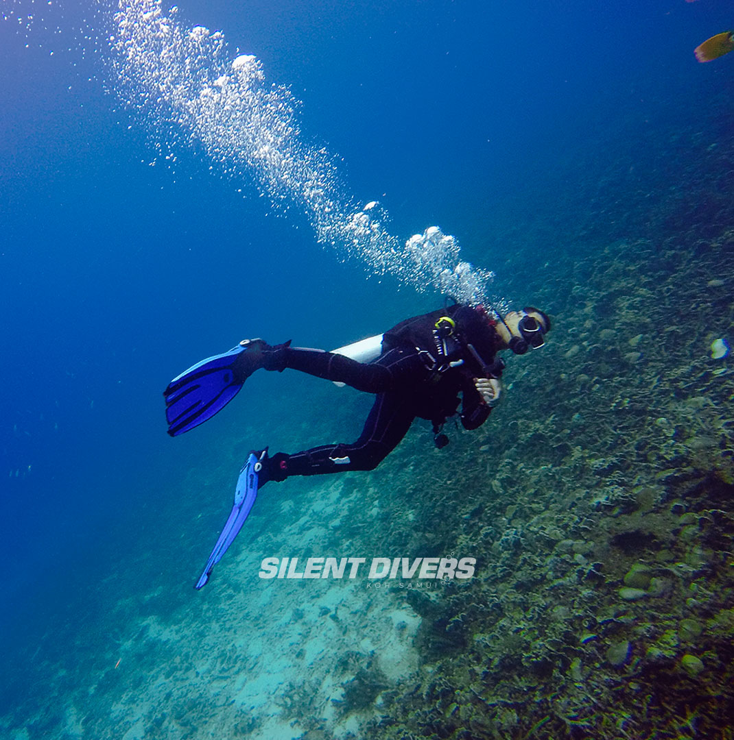 PADI Open Water Diver Koh Samui » Silent Divers