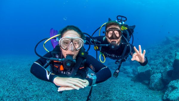 PADI Scuba Diver Vs. Open Water » Silent Divers 2024